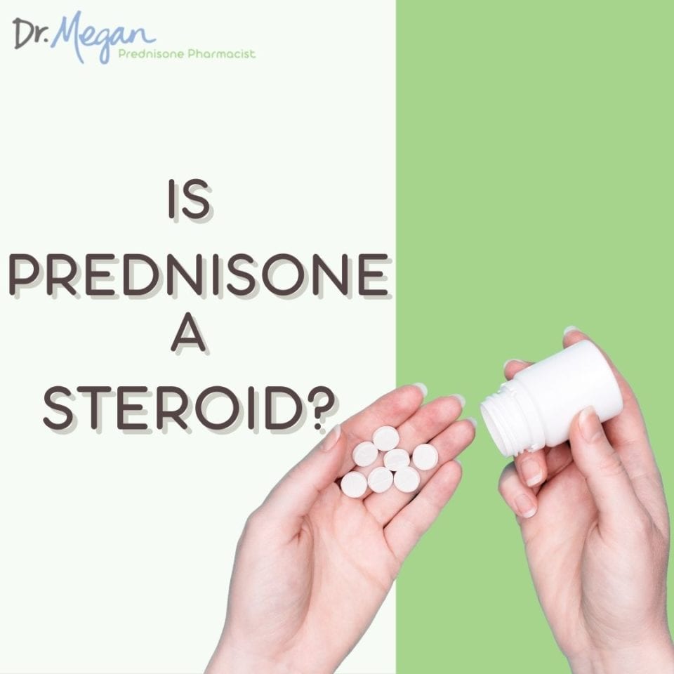 Is Prednisone a Steroid? | Dr. Megan
