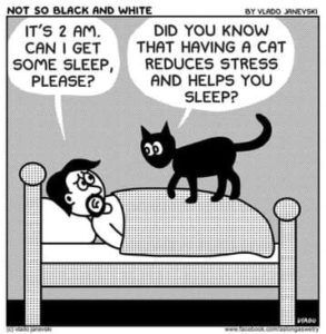 13+ Memes About Prednisone Insomnia That You Can Relate To | Dr. Megan