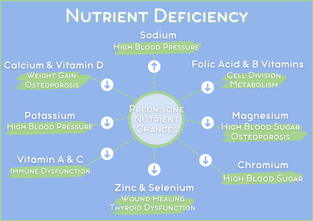 9+ Nutrients Depleted by Prednisone | Dr. Megan