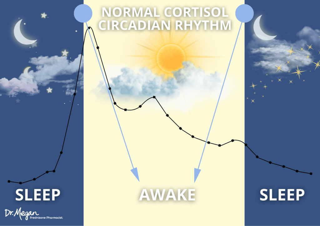 How to Take Prednisone (the RIGHT way) | Dr. Megan